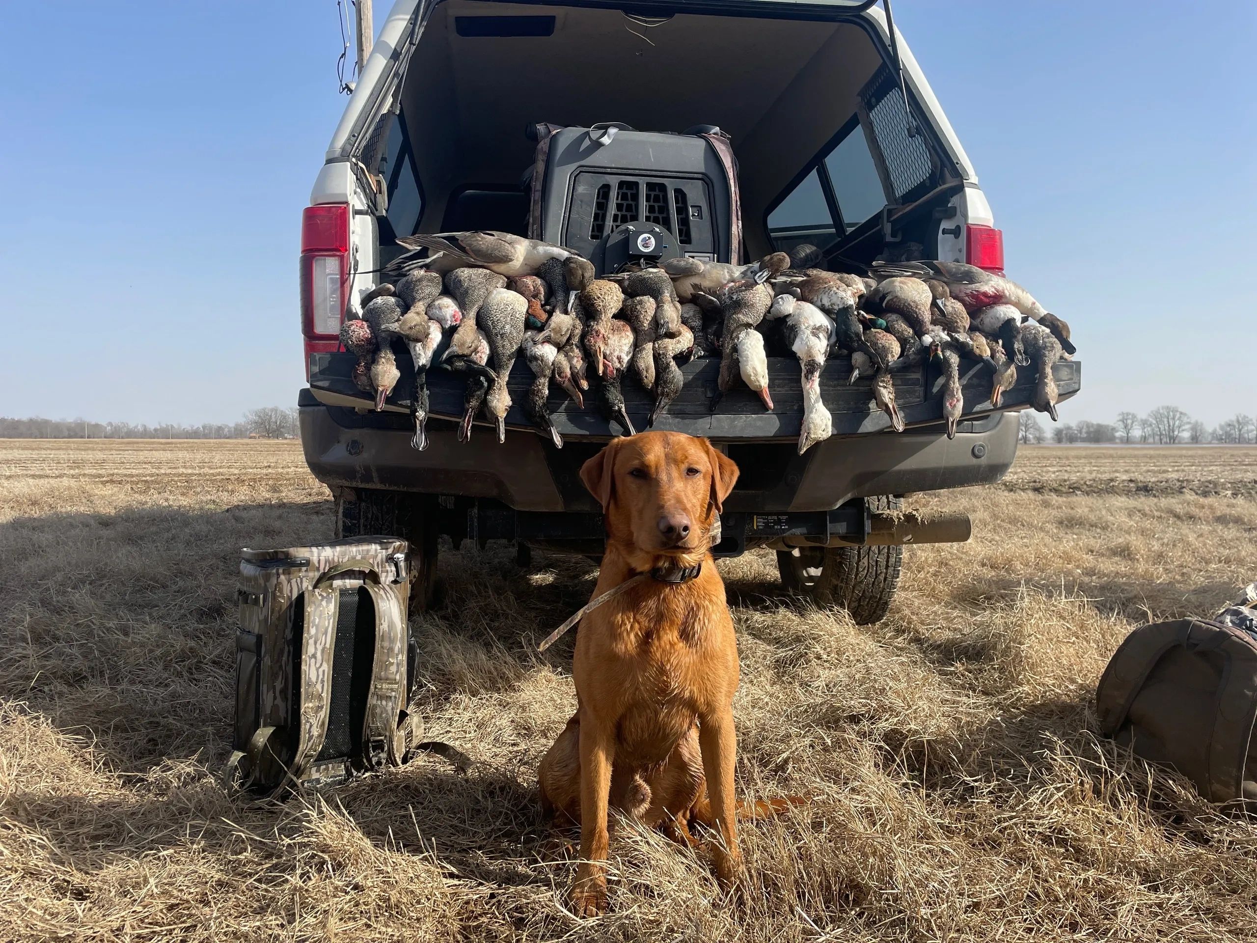 Arkansas Waterfowl Guide - Uekman's Hunting Club and Guide Service