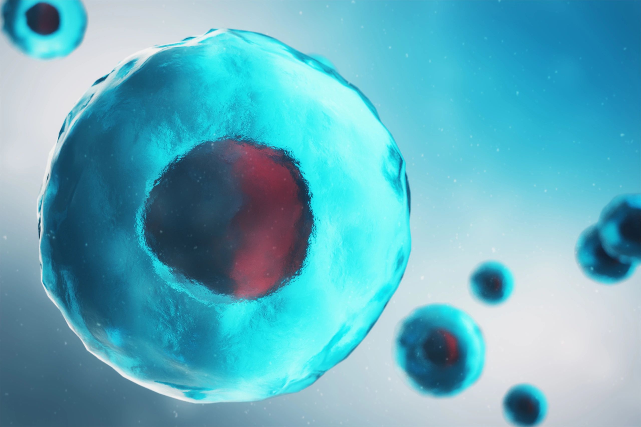 Types of Stem Cells | Revita Cellula