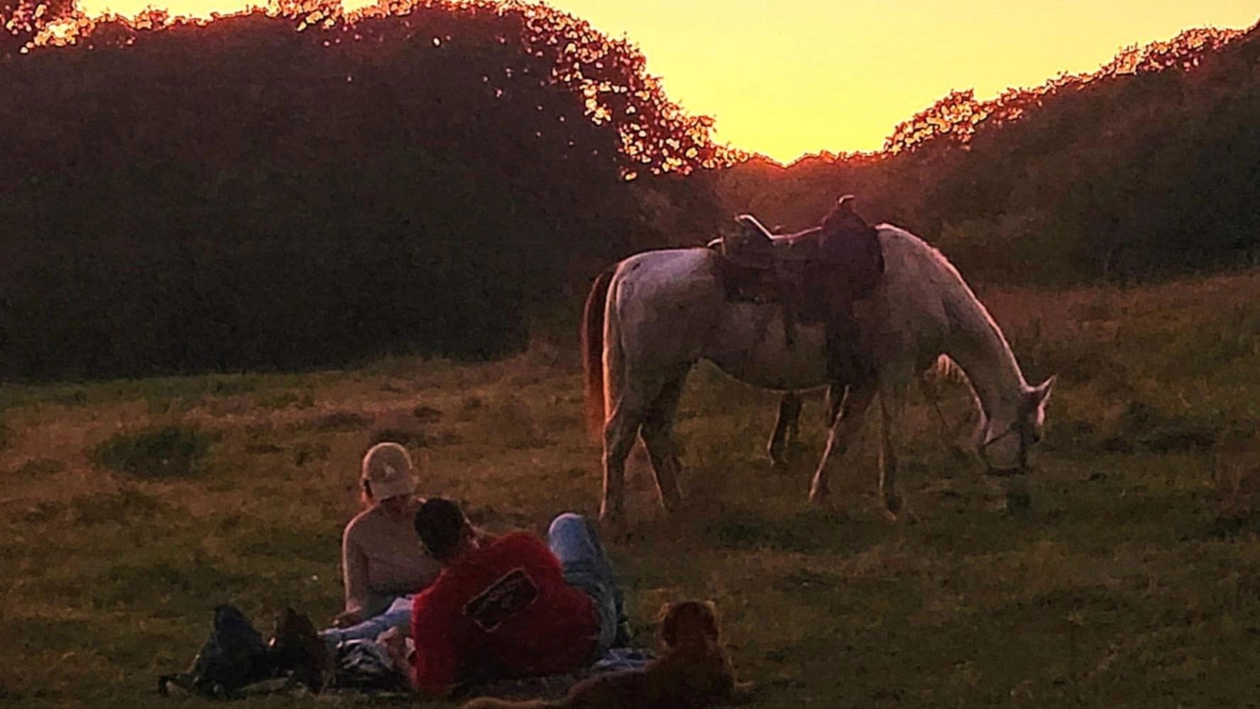 Customized Horseback Trail Rides on a Private Ranch Near Dallas ...