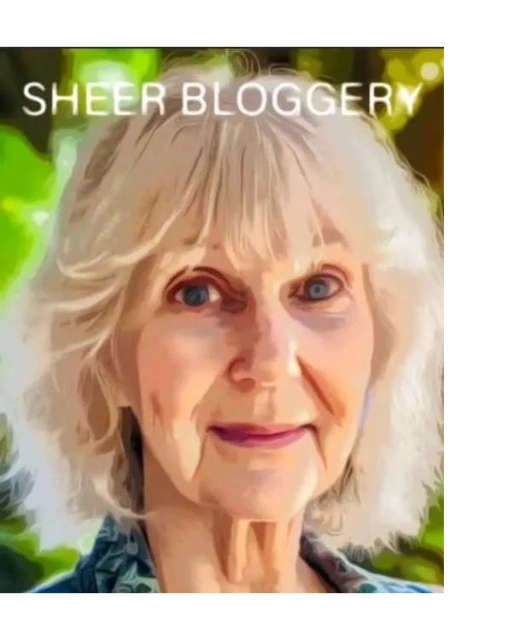Sheer Bloggery