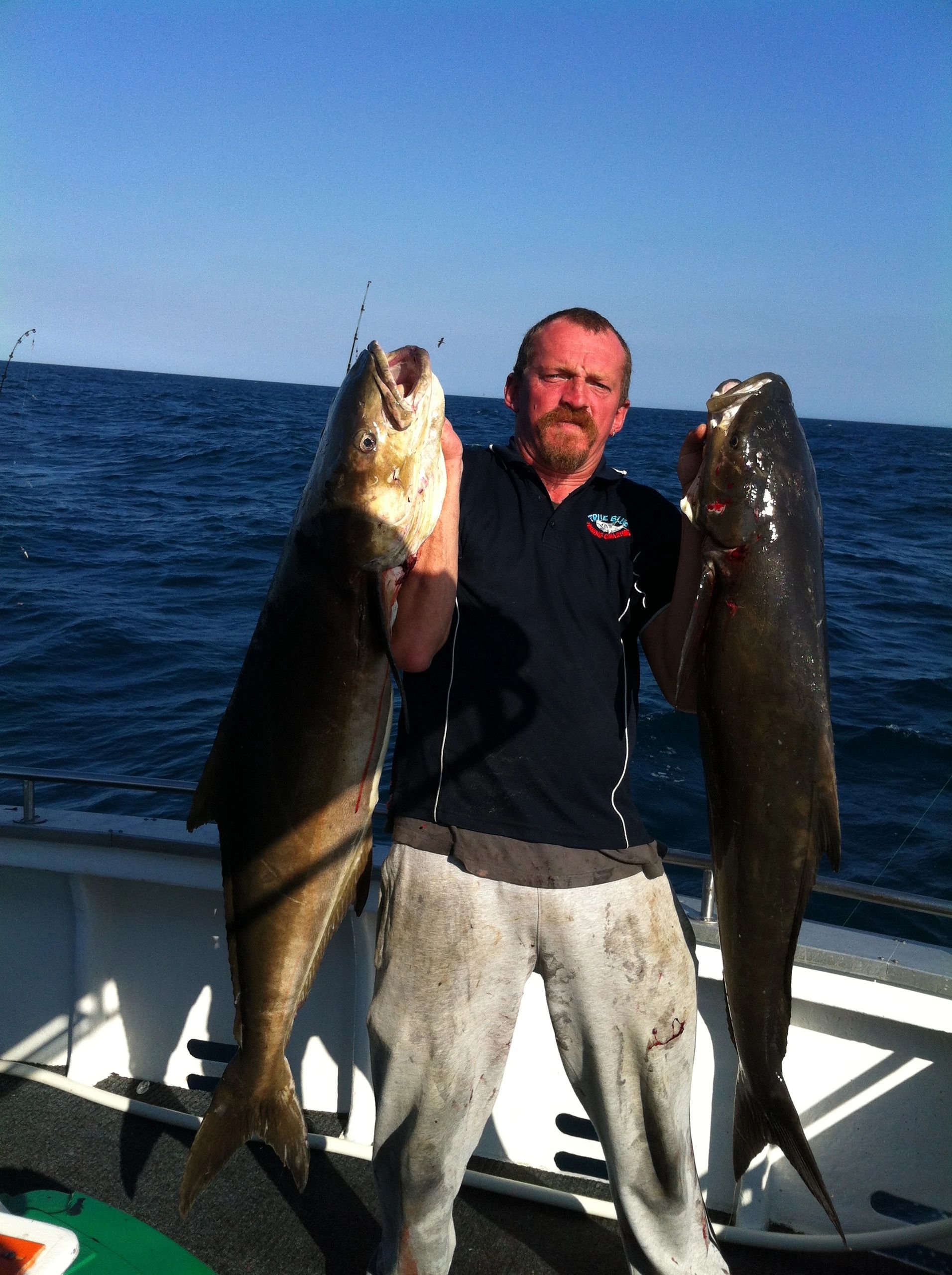 Cobia Fishing Charters Gold Coast