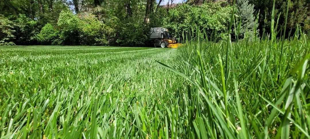 Landscape Services and Mowing - Martin Lawn and Landscape LLC