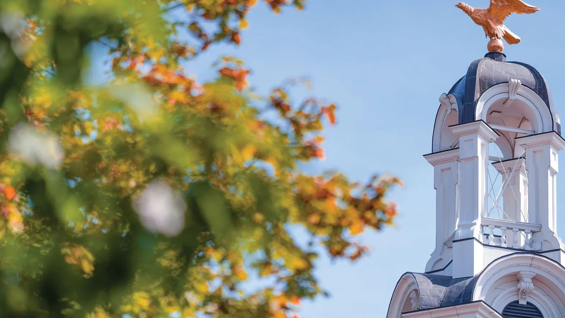 Downtown Lawrence Association