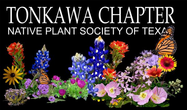 Native Plant Society of Central Texas