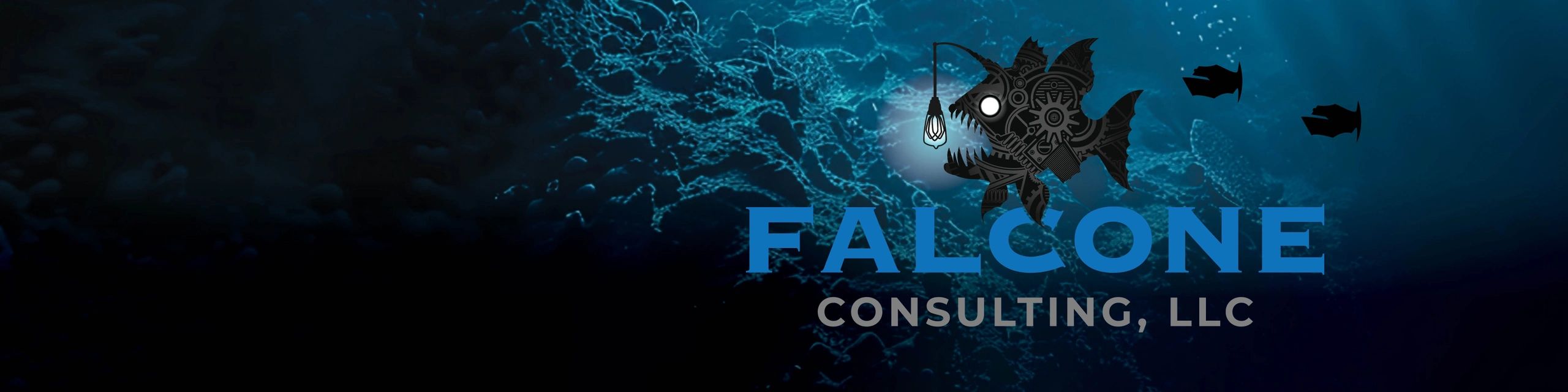 Falcone Consulting