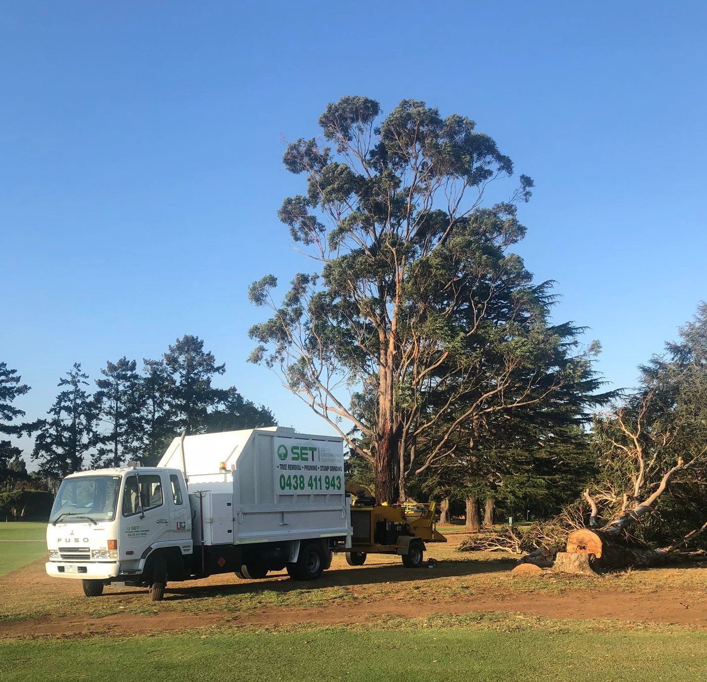 BEFORE AND AFTERS | Southeastern Tree Contracting