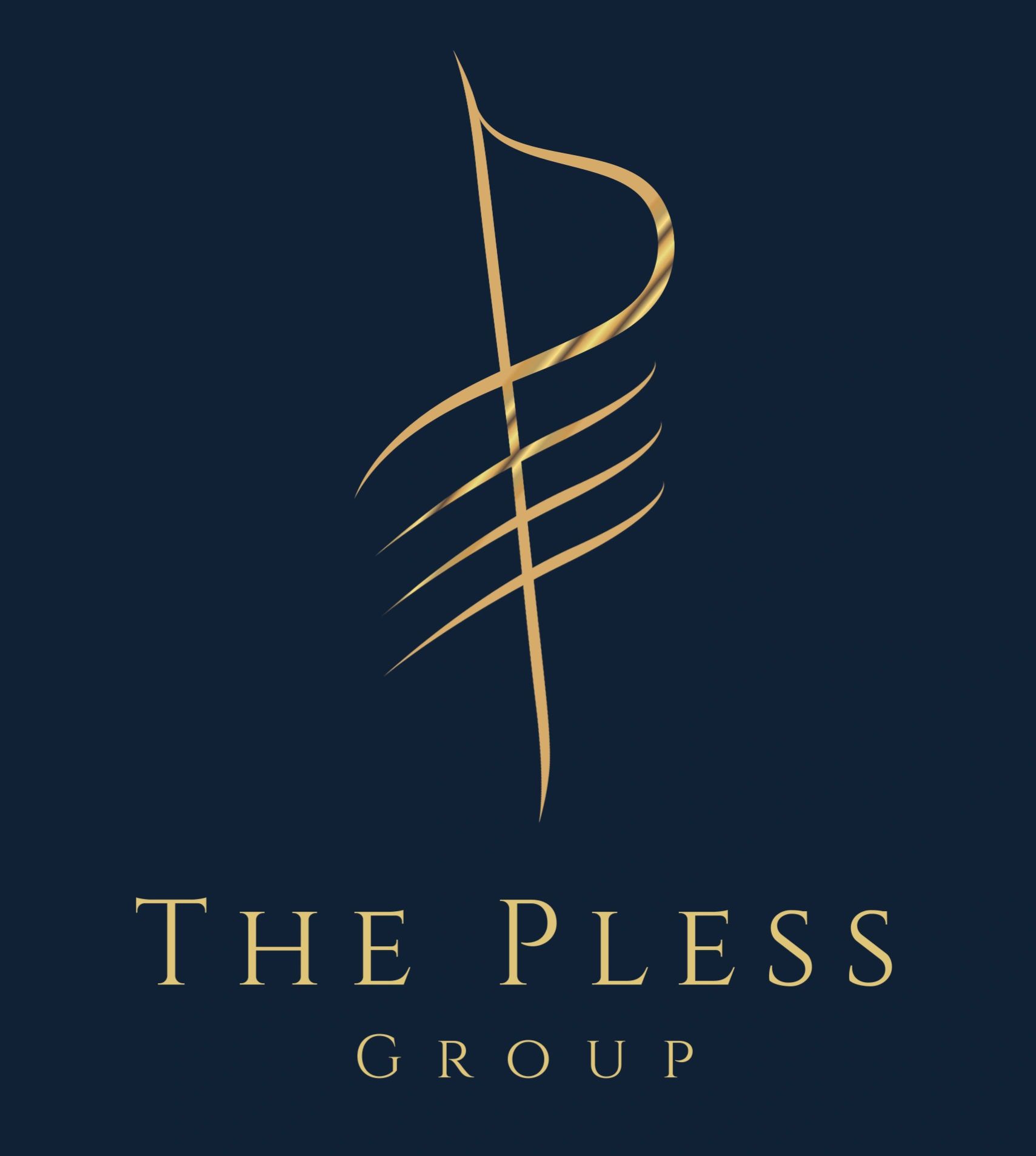 Business Advisory Services | The Pless Group, LLC