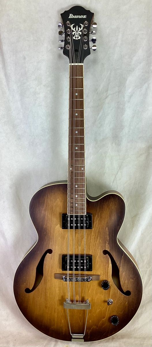 Mandocello conversion of Ibanez AF55 (made to order)