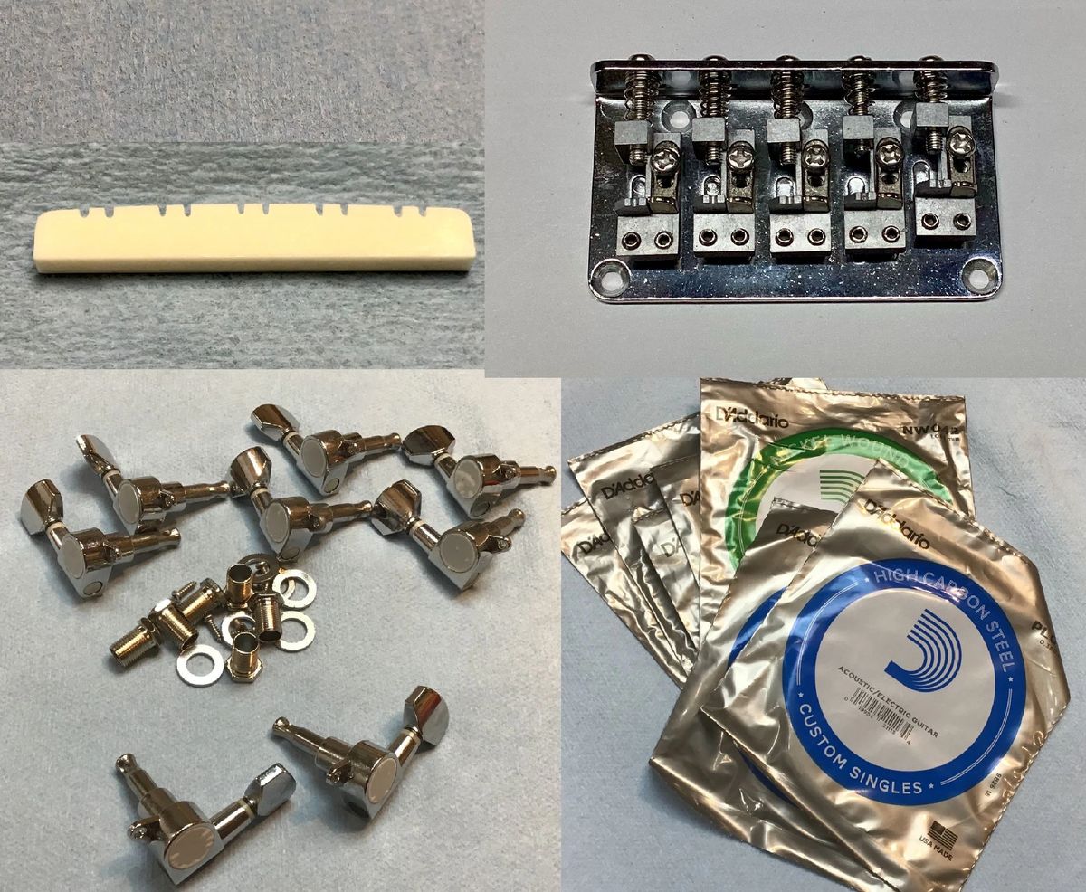 10 string electric mandocello conversion kit