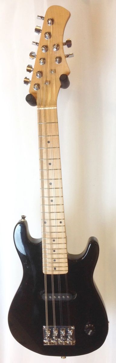 8 String Electric octave mandolin conversion with options