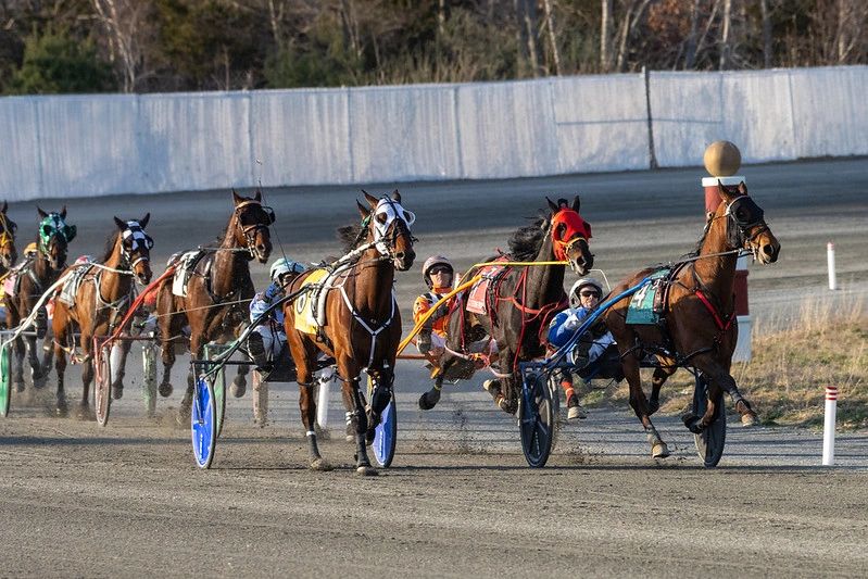 Plainridge Racing Forms