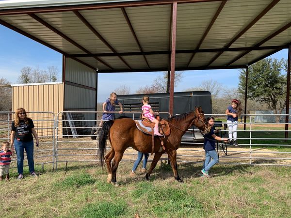 Morning Star Ranch - Equine Facilitated Learning - Dublin, Texas