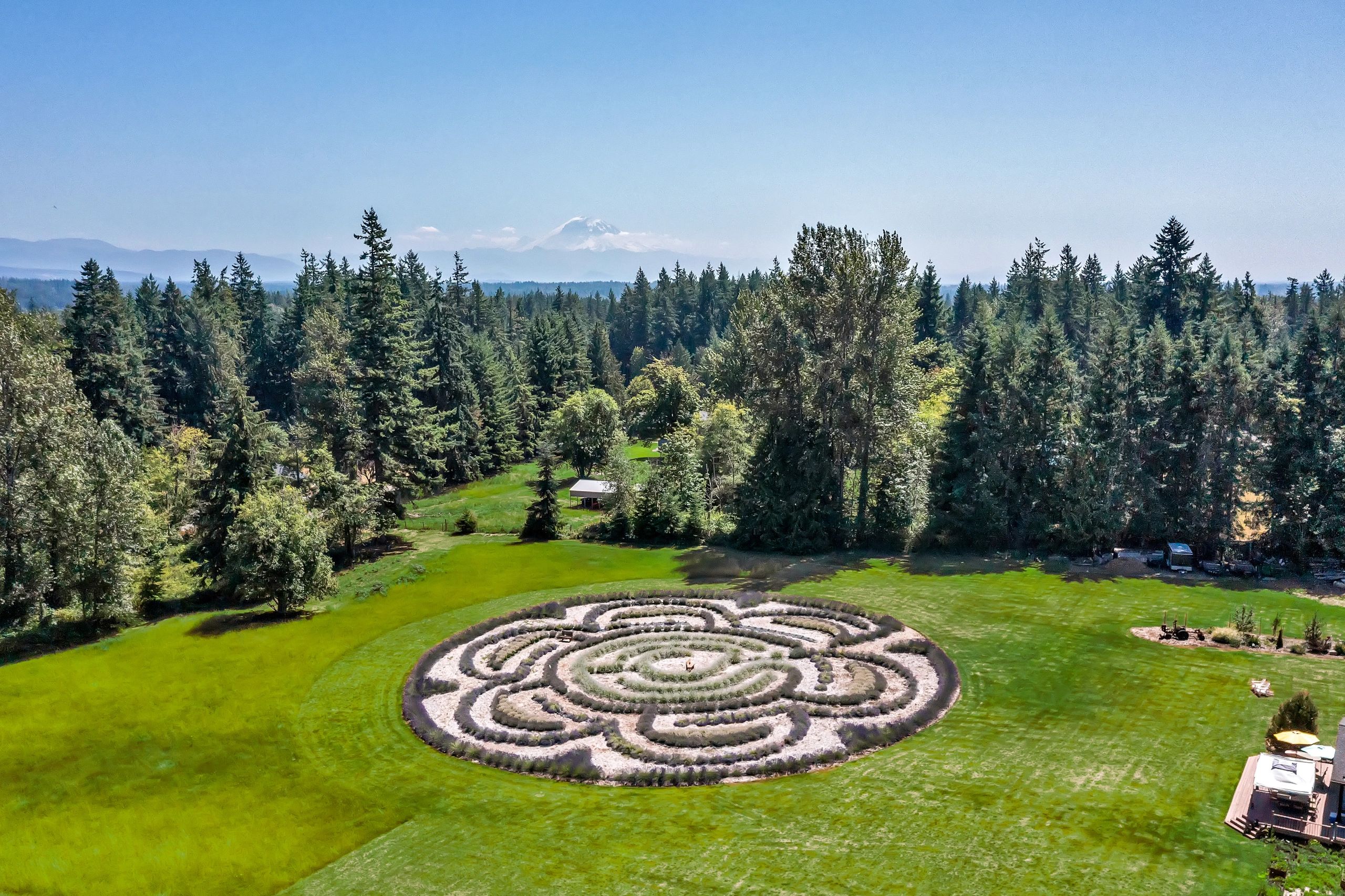 Synnova Lavender Farm: Pure Essential Oils & Herbal Products