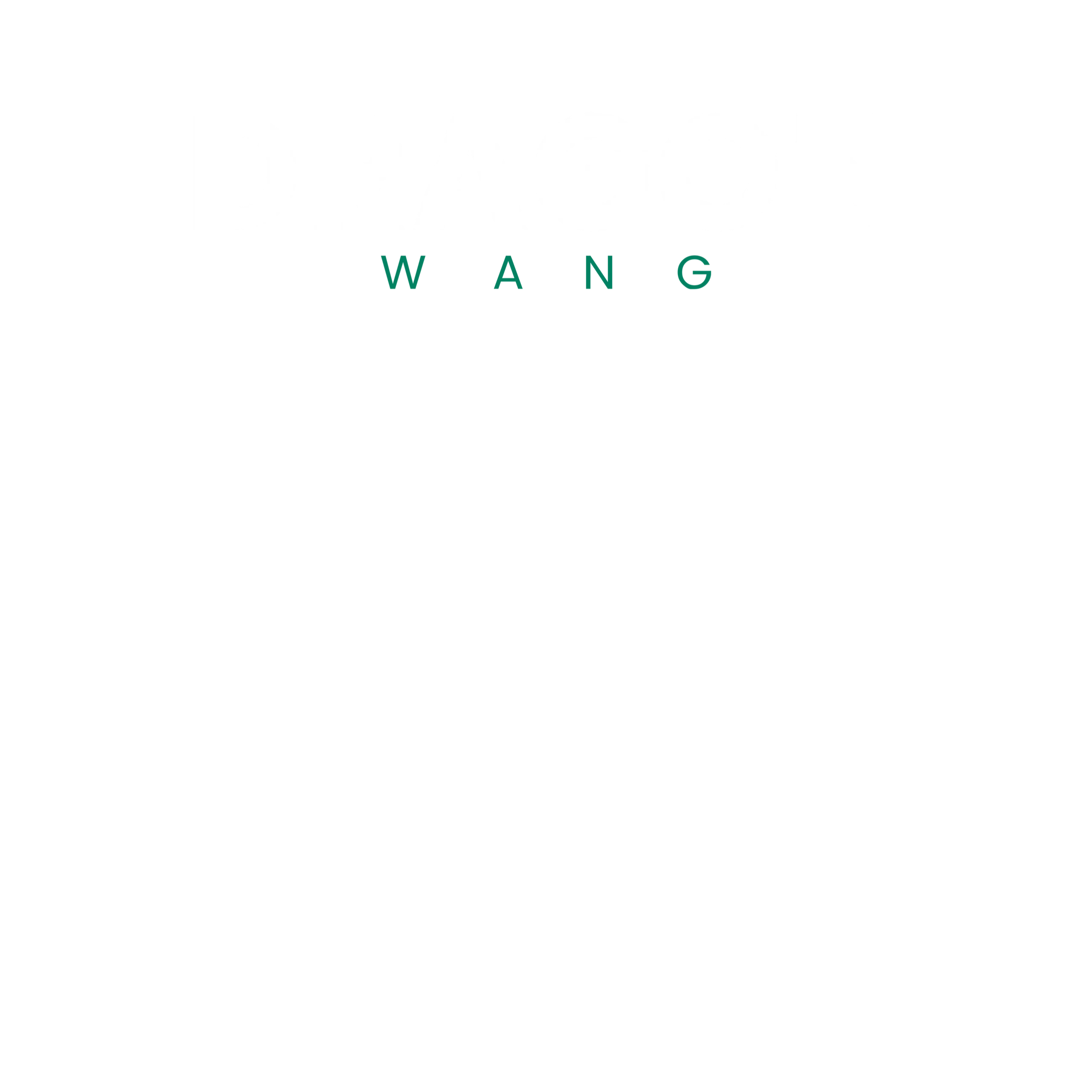 Dragon Wang