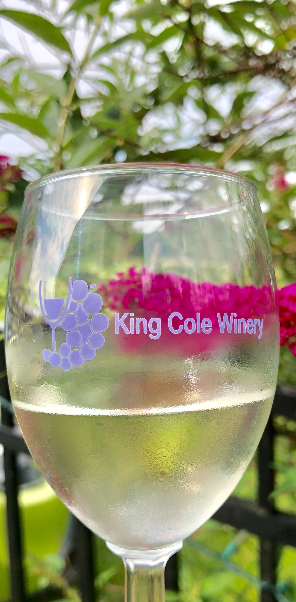 King Cole winery