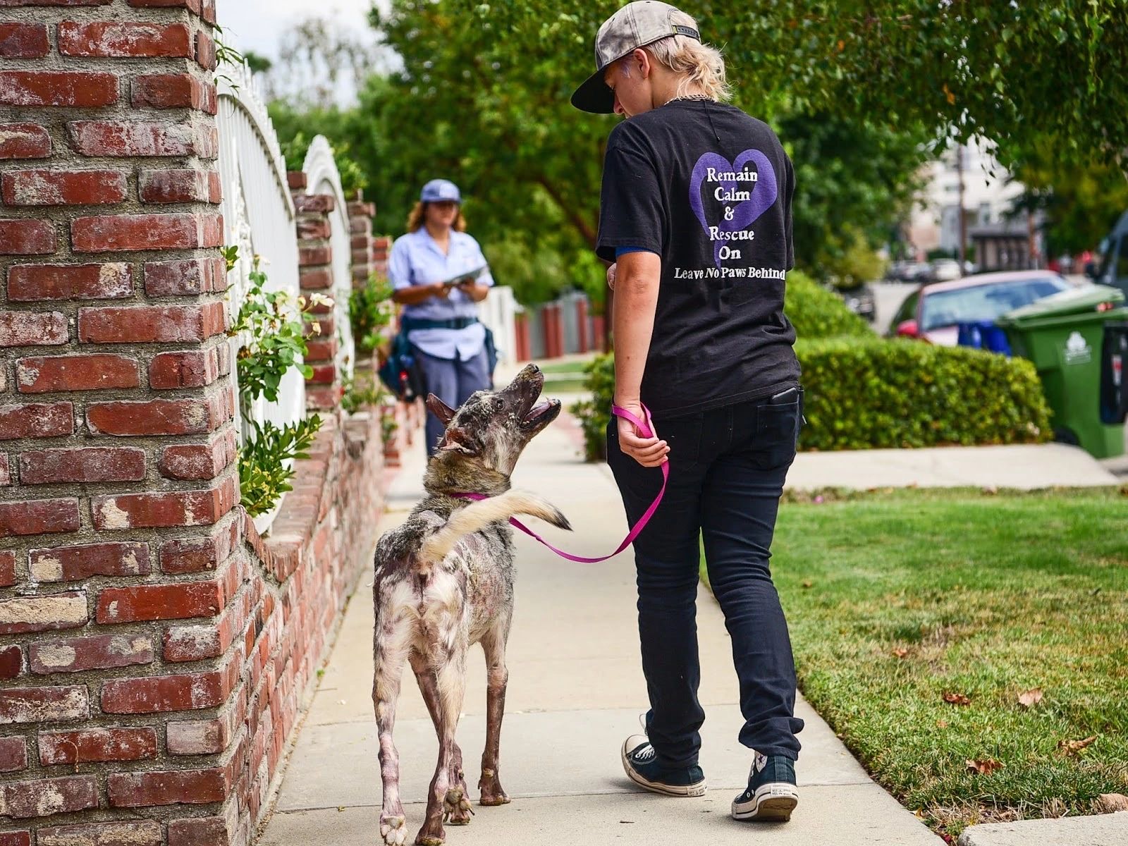 Leave No Paws Behind