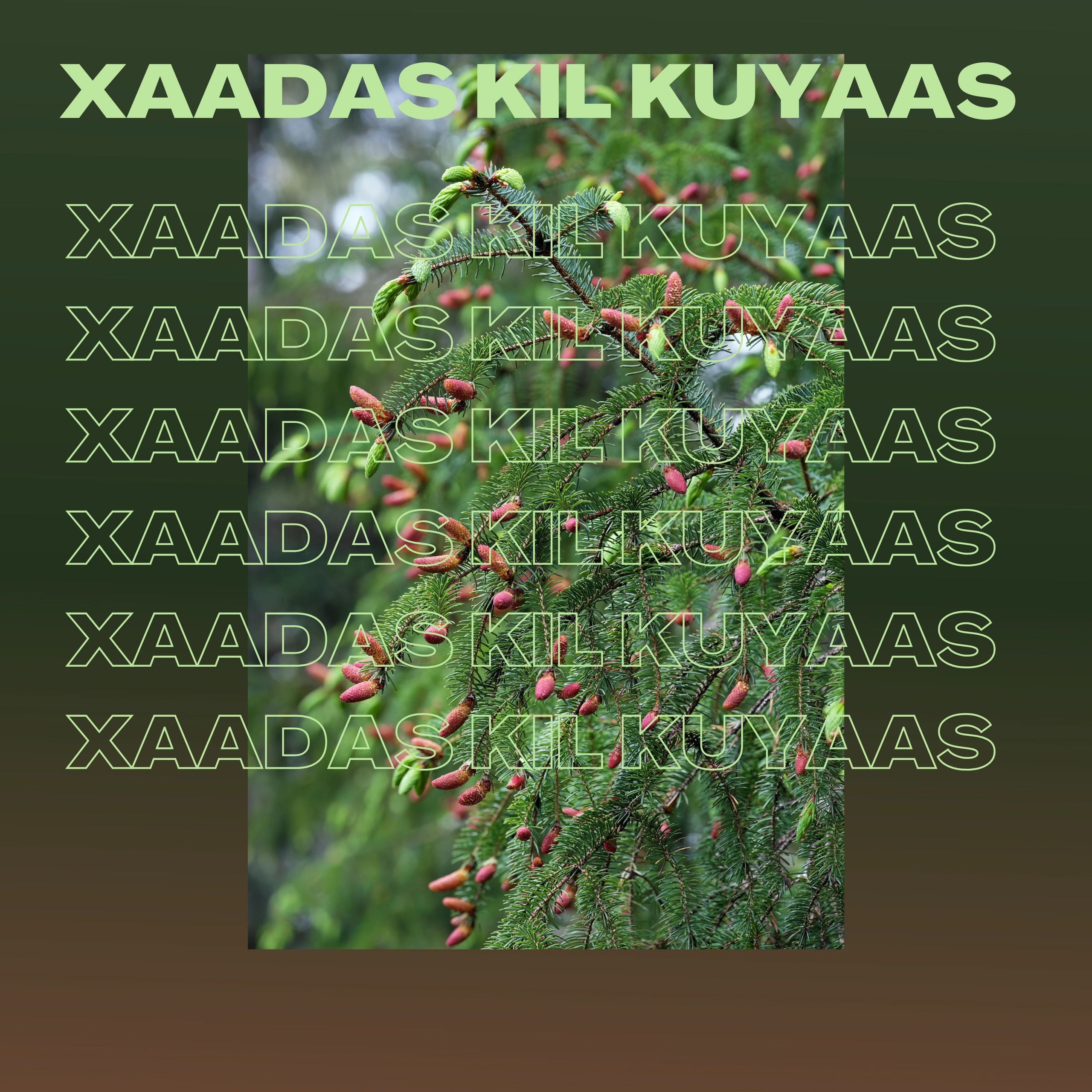 XKKF: PRECIOUS HAIDA WORDS