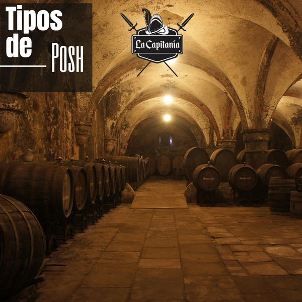 Posh Chiapas - Pox Bebida, Pox Bebida Historia