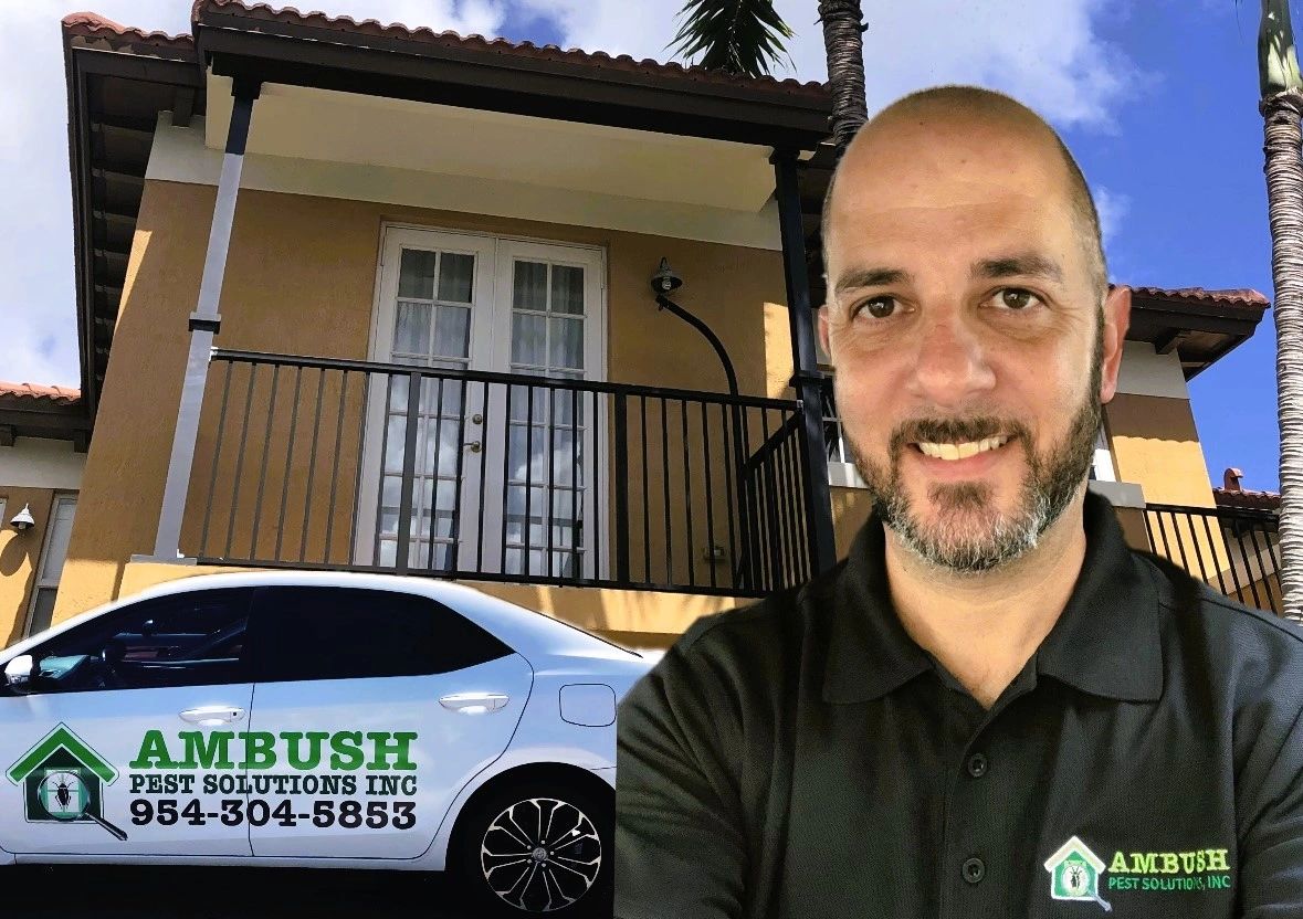 Pest Control Service, Rodent Control - Ambush Pest Solutions, Inc ...
