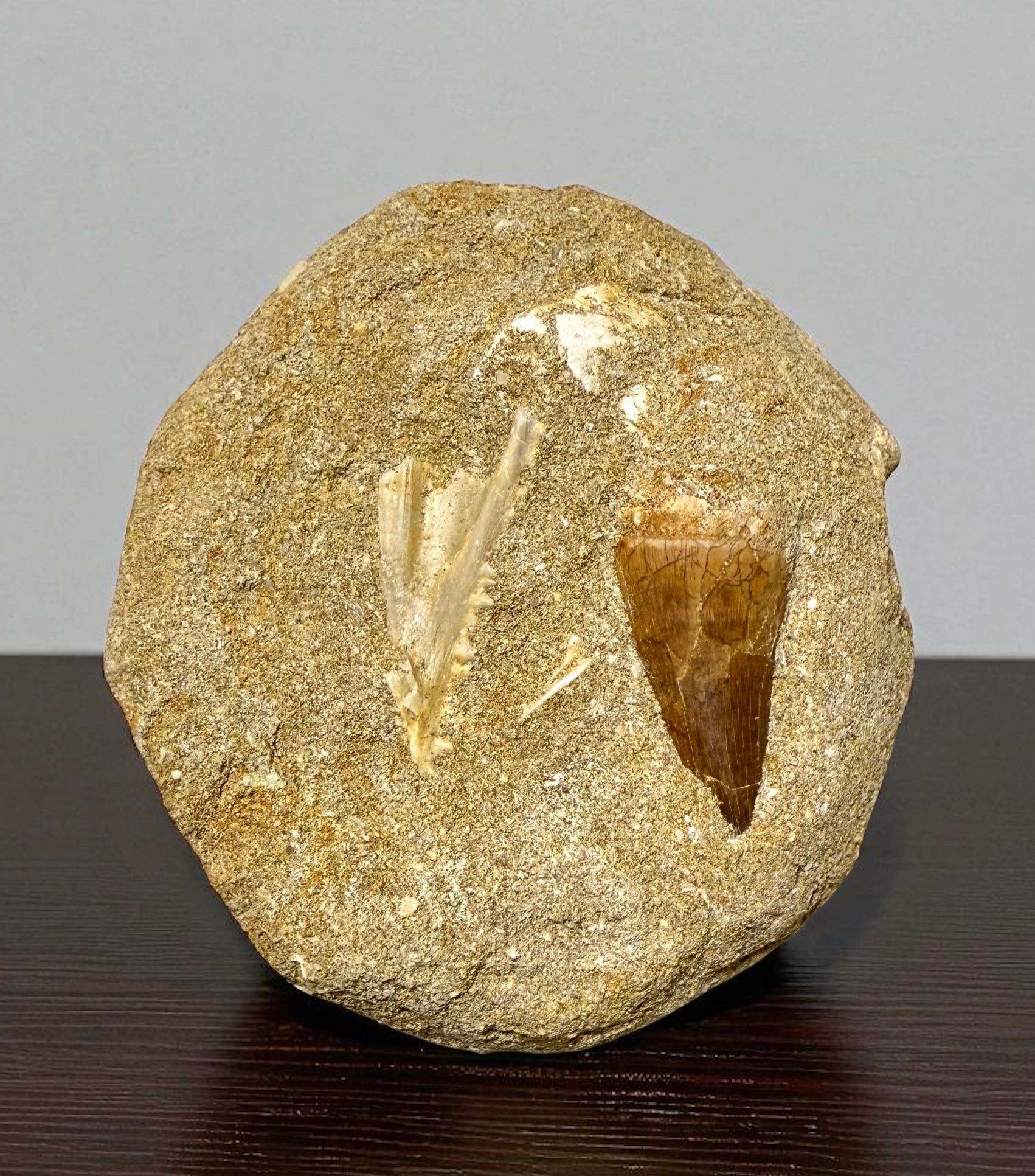 Ope Rock Shop - Crystals, Agates