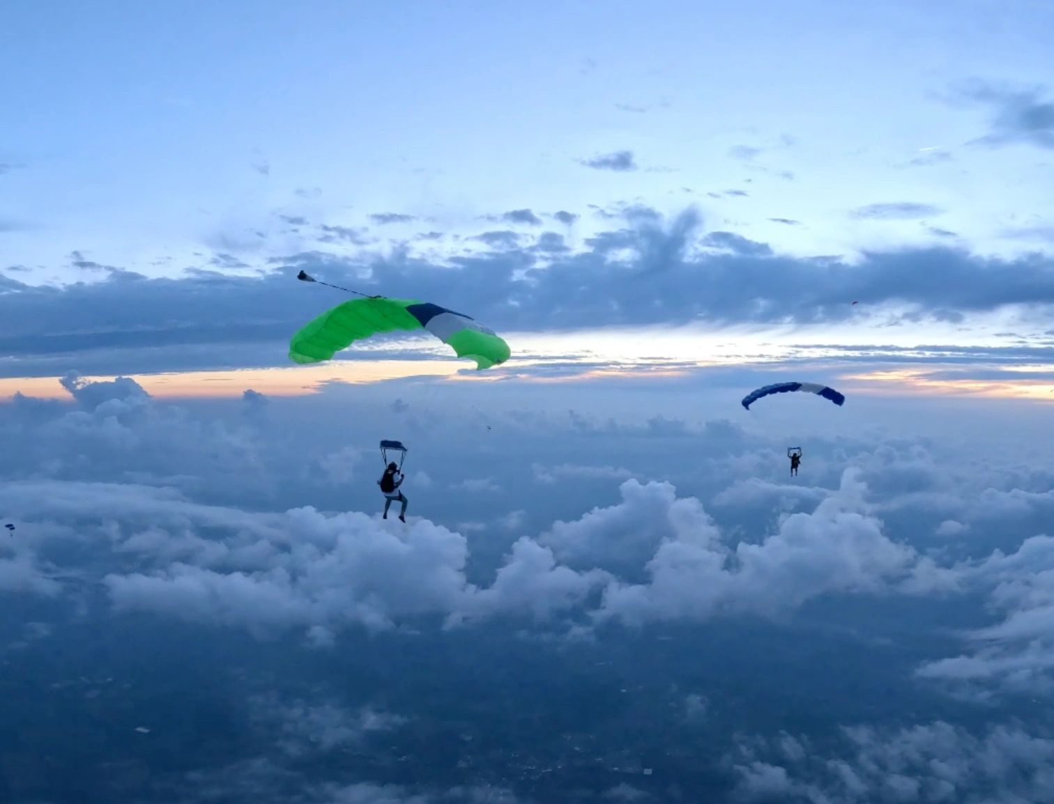 Experienced Executive Coach - Wyser with Joe