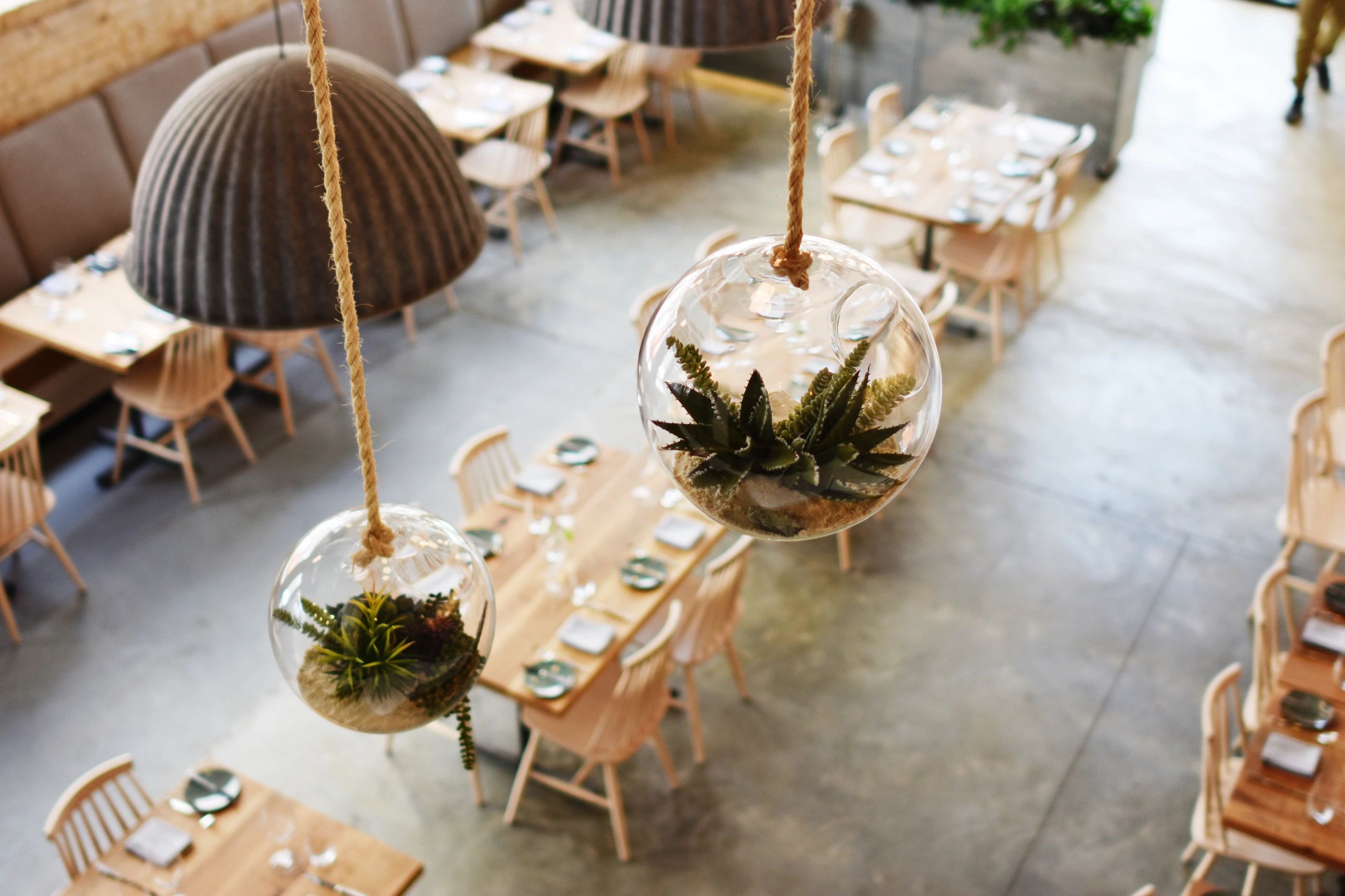 home | Natalie Park Design Studio