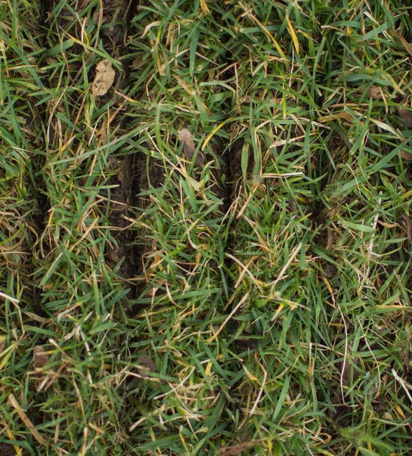 SLIT SEEDING | Bob's Lawn Care