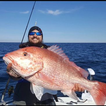 Tattoos - Inksane Asylum