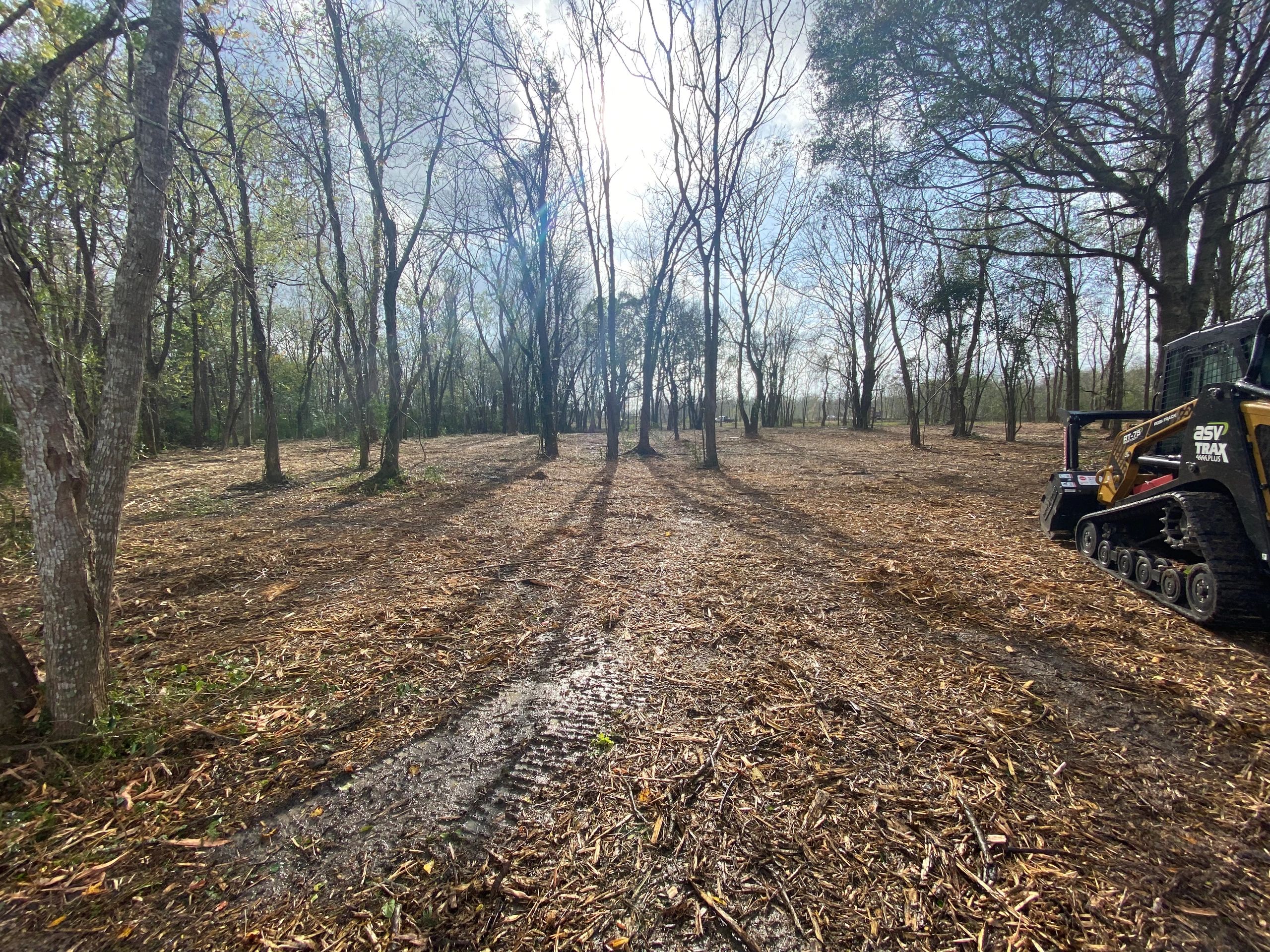 Dependable Land Management