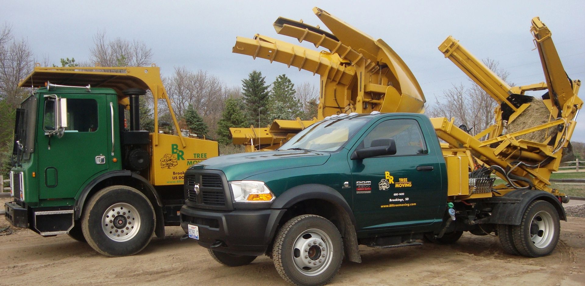 B & R Tree Moving - Tree Moving, Tree Transplanting | B & R Tree Moving