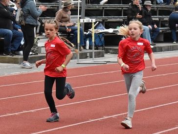 Track