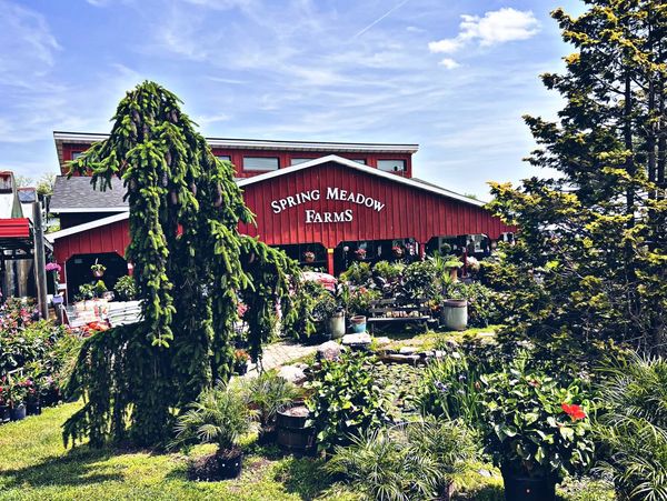 Spring Meadow Farms