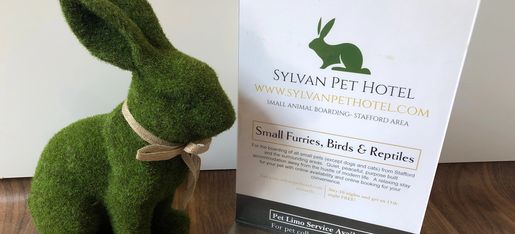 Pet Boarding Staffordshire - The sylvan small animal pet hotel