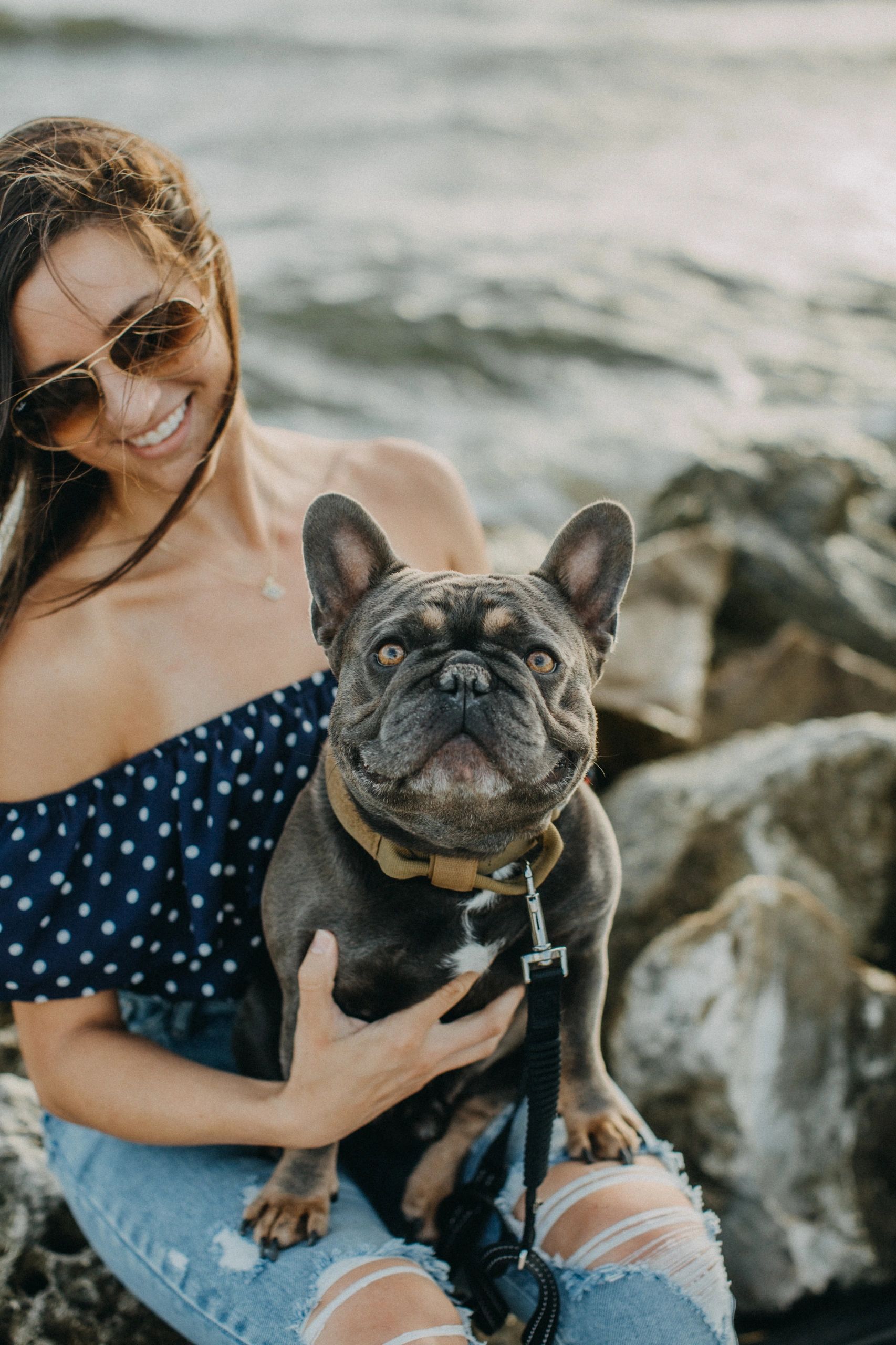 French Bulldog Puppies available - Dockside Bullies