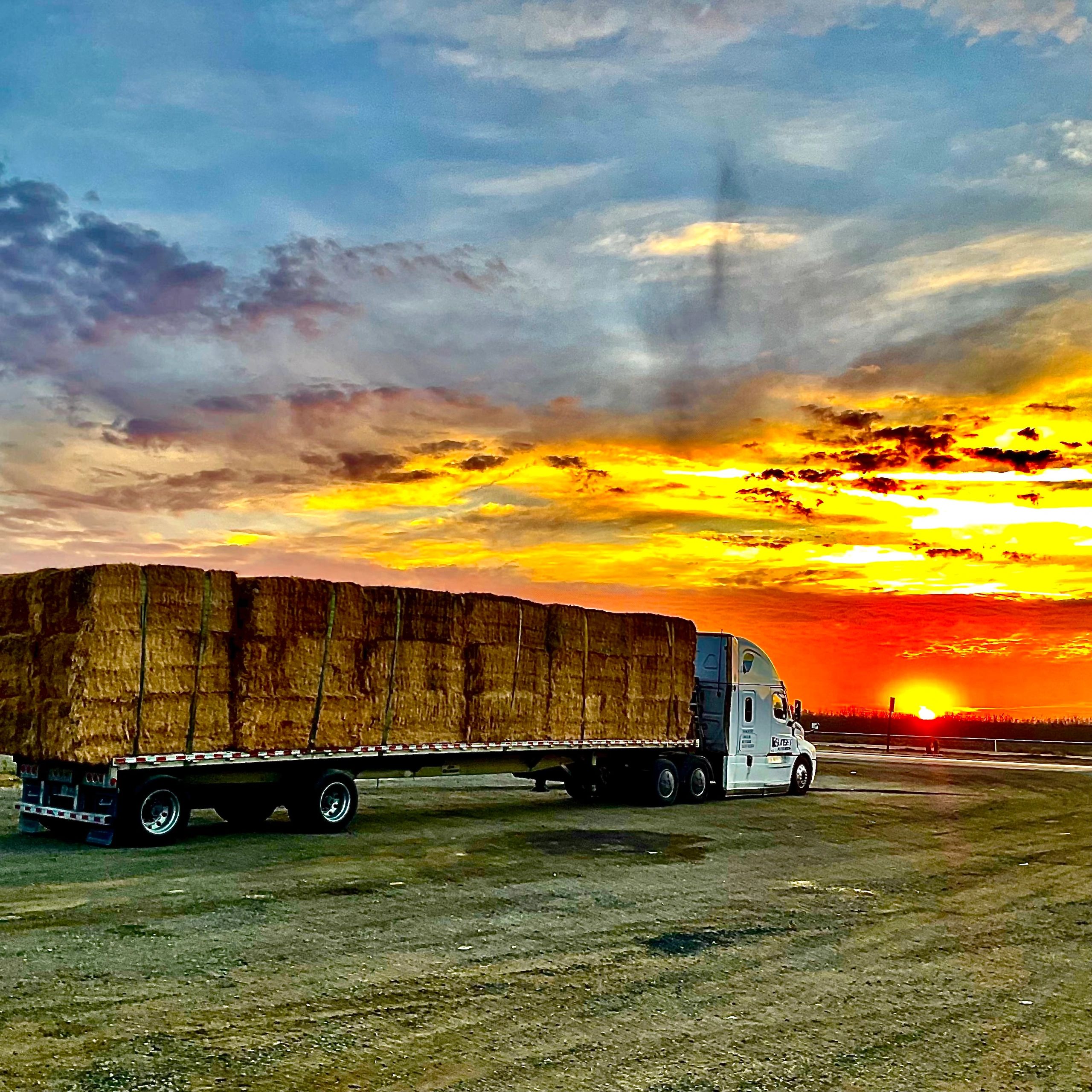 Sunset Express Trucking