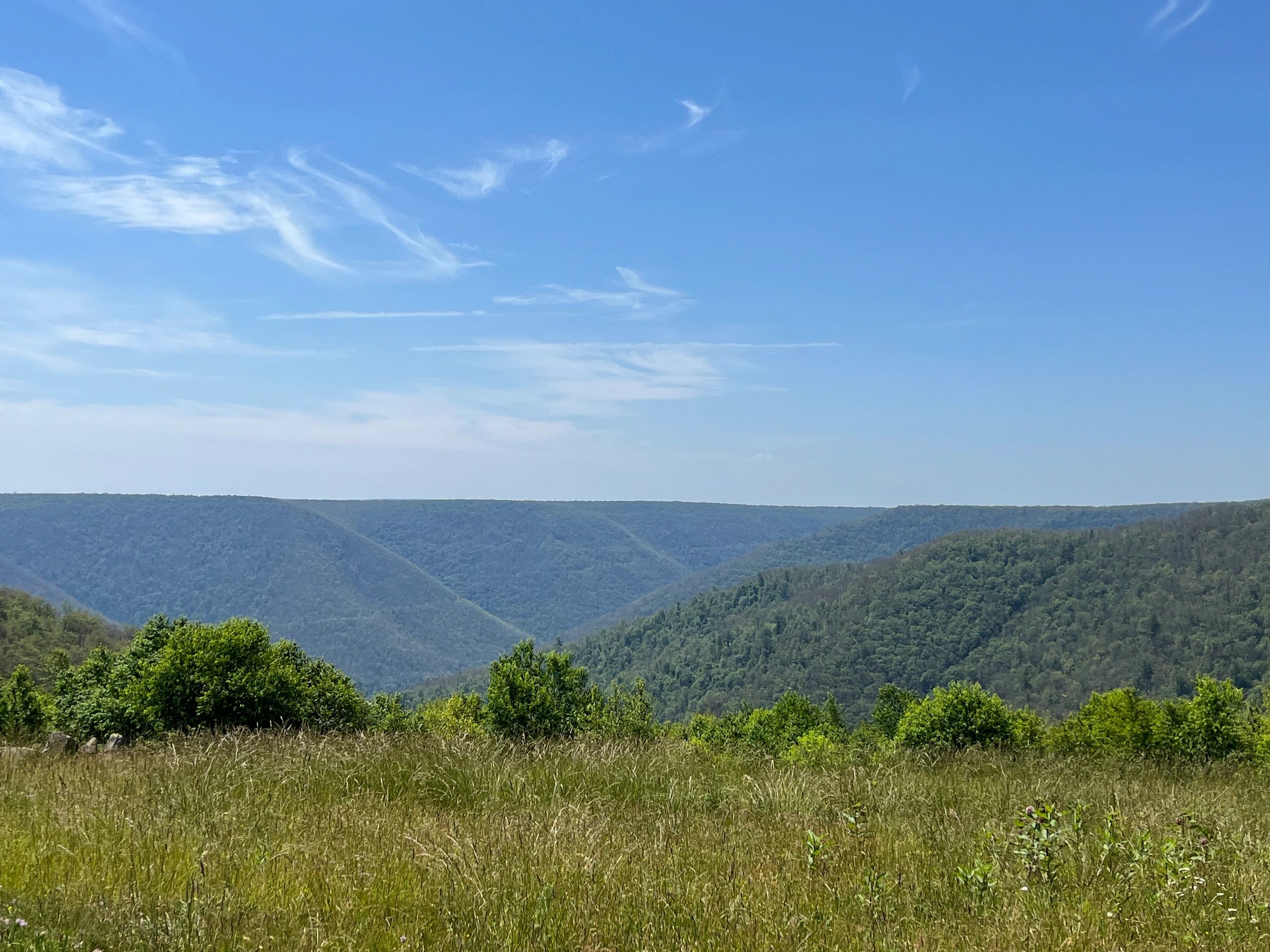 Grow Conservation | Values-Driven Consulting