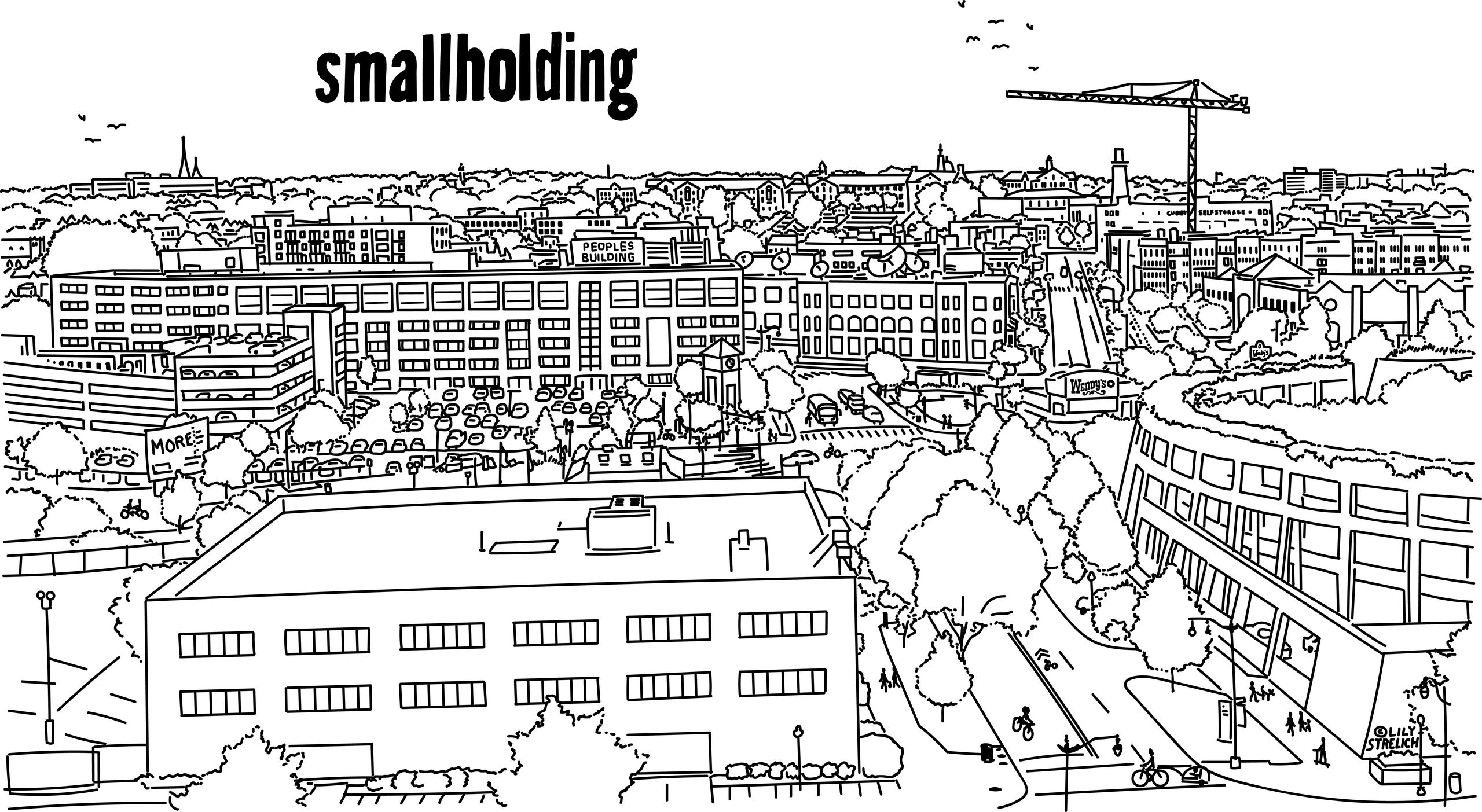 Smallholding - Consulting, Education, Strategy