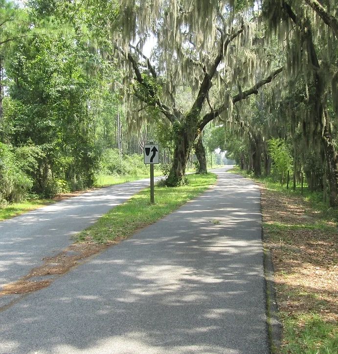 Harris Neck Land Trust