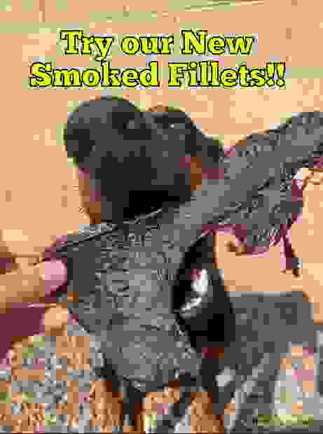 Ruff Life Dog Bones - Dog Treat Delivery, Dog Treats, Healthy Fresh