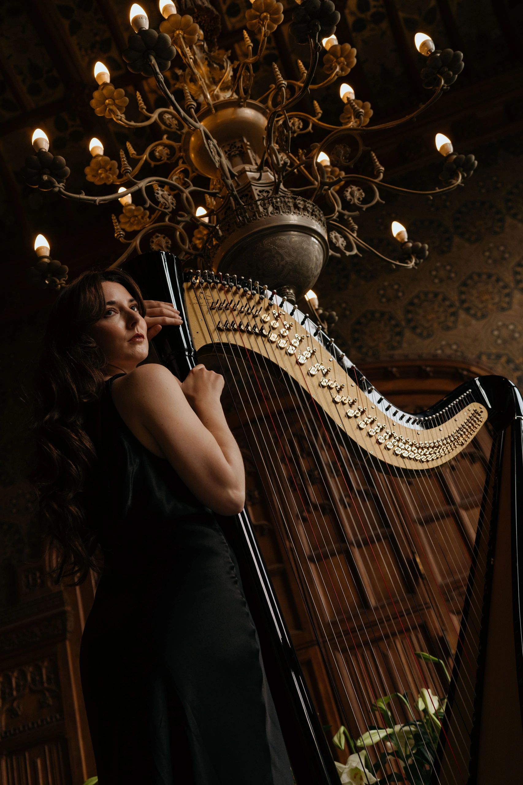 Exquisite Harpist for Wedding Ceremony