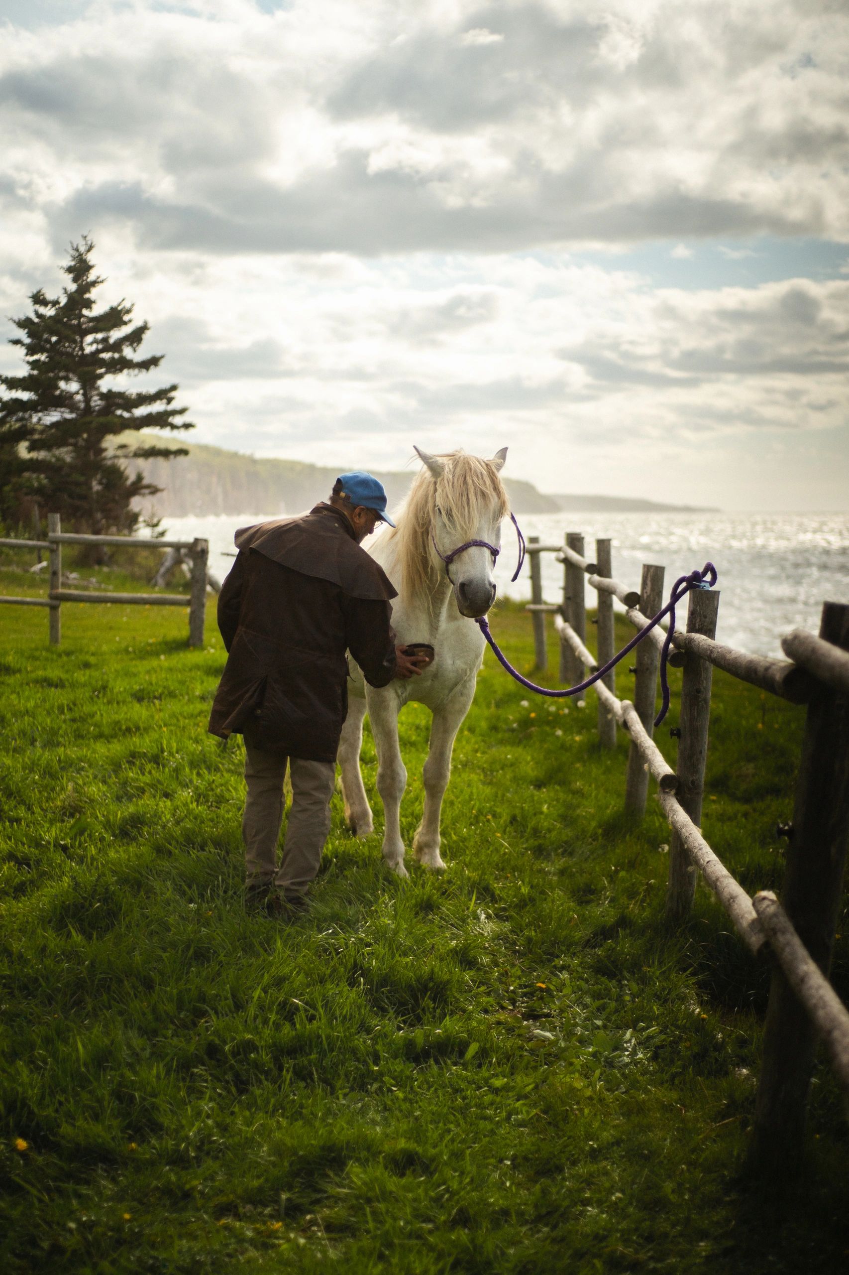 Trail Rides | Wild Mountain Adventures