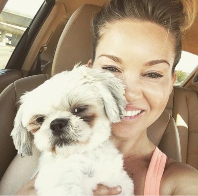 Wags Paws & Heart - Group Walks Small Dogs, Dog Walks