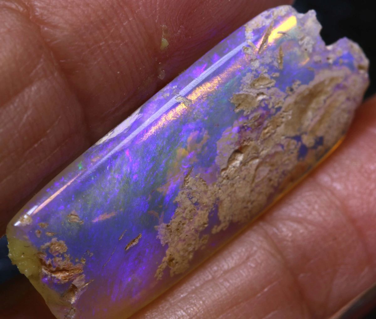 9.3 cts L.Ridge Opal Wood Fossil FO-3231