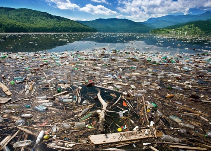 El hombre + medio Ambiente= Deterioro