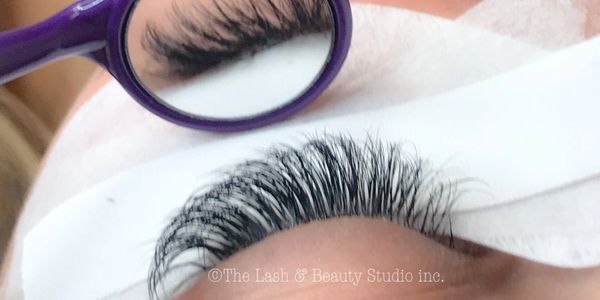 Eyelash Extensions - The lash and beauty studio inc.