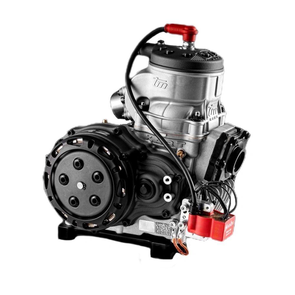 TM R2 TOTAL BLACK Shifter Kart Engine (PVL)