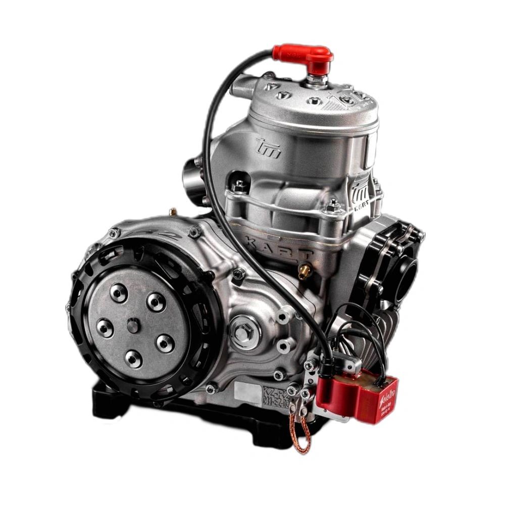 TM R2 Standard Shifter Kart Engine