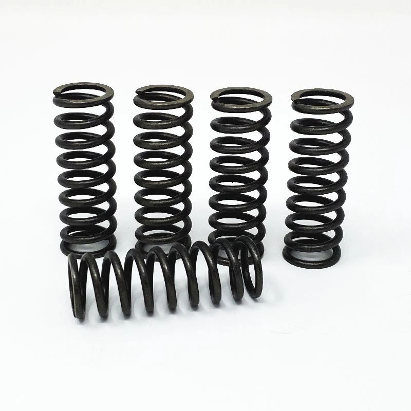 TM KZ-R1 Clutch Springs, 5 pcs