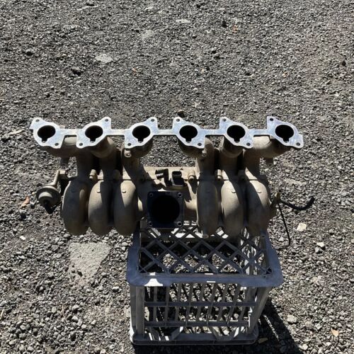 Throttle Bodies and assemblies