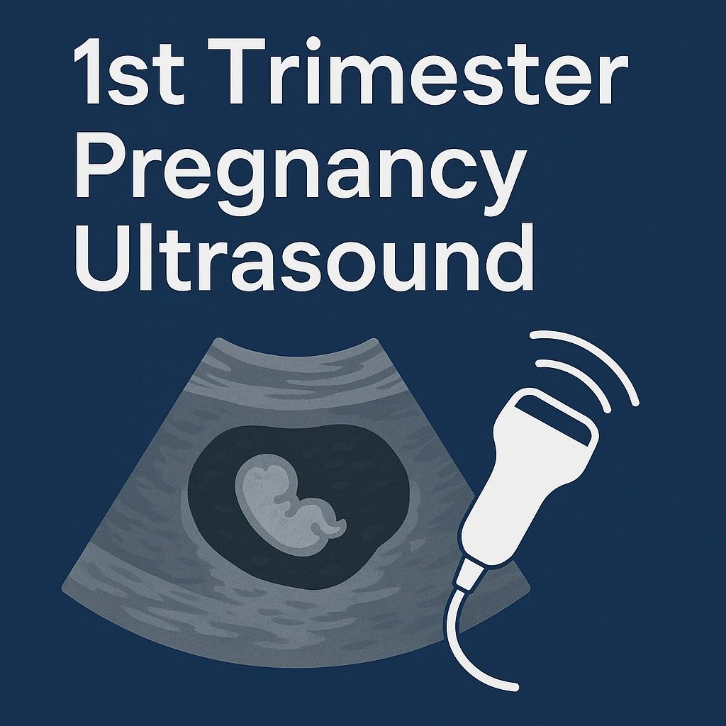 1st Trimester Pregnancy